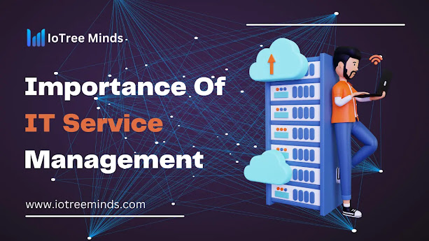 Importance of IT Service Management